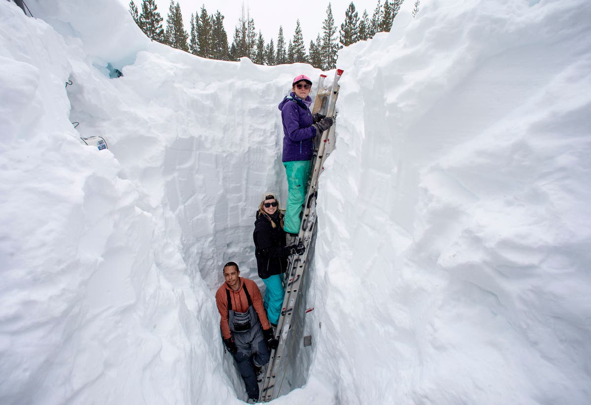 California Snow 2024 Alia Louise California Snow 2024 Alia Louise