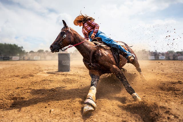 Sony World Photography Awards 2023 winners revealed | The Independent