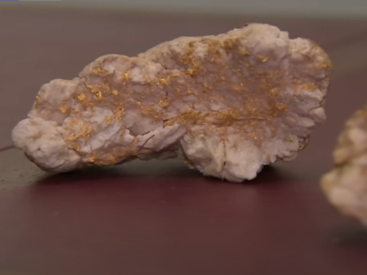 Amateur gold-digger finds record 4.6kg nugget worth hundreds of ...