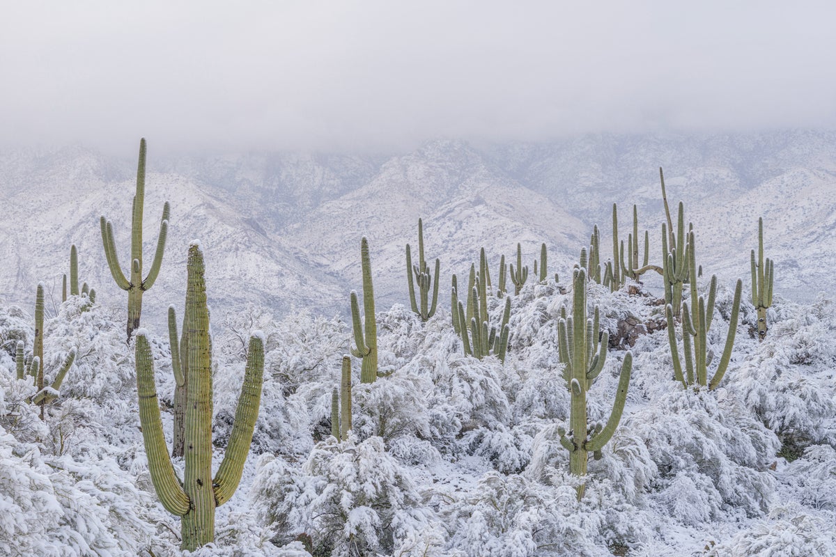Photo reveals first snowfall in a decade in North America’s hottest ...