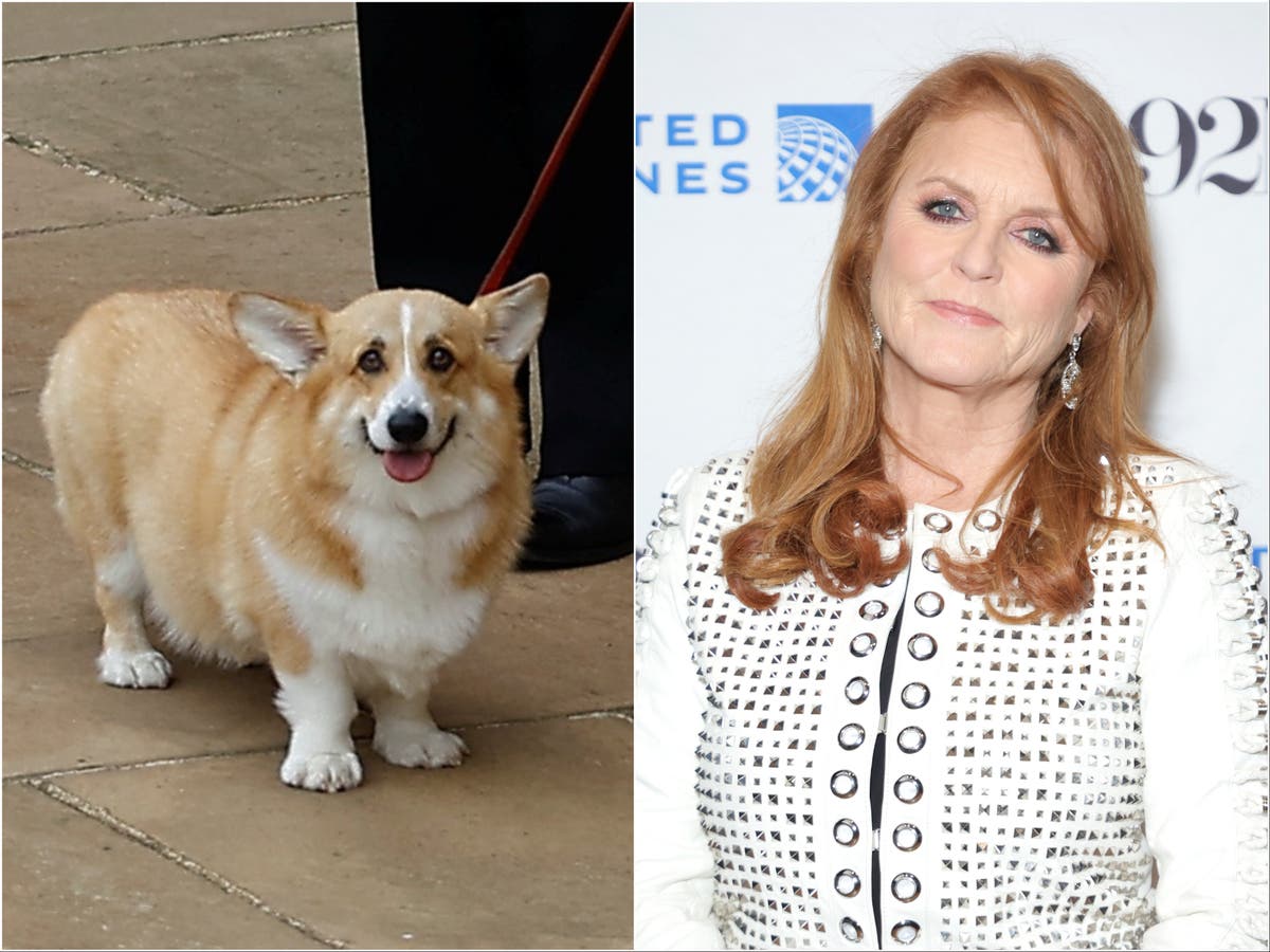Sarah Ferguson told that Queen’s corgis diets are ‘off’ by pet psychic ...