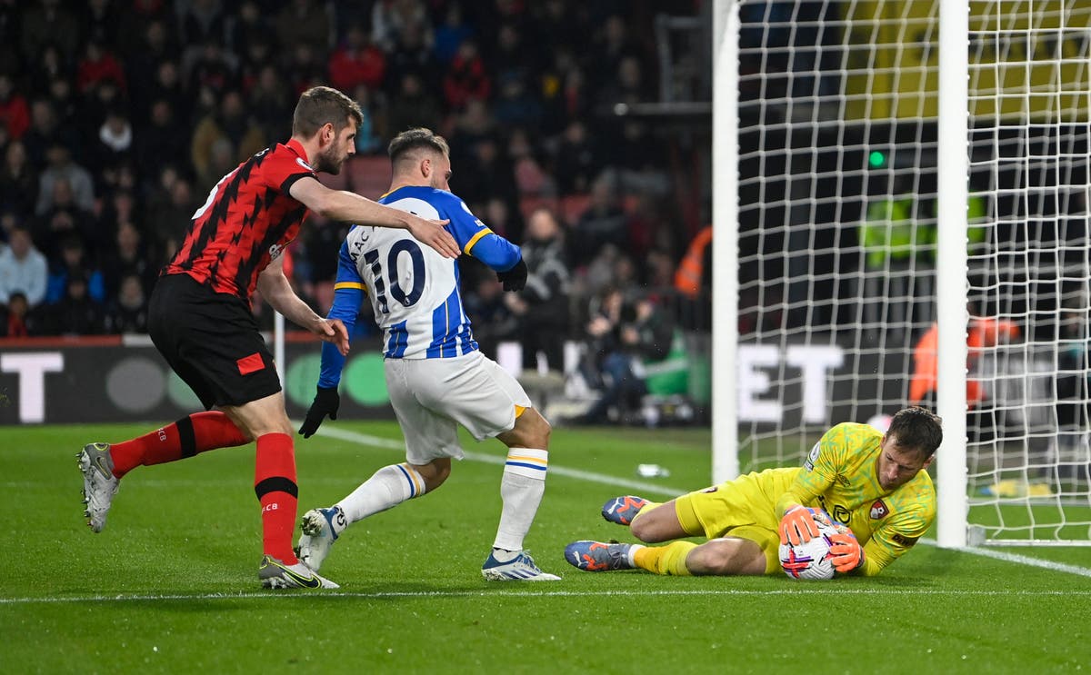 AFC Bournemouth vs Brighton & Hove Albion LIVE: Premier League result ...