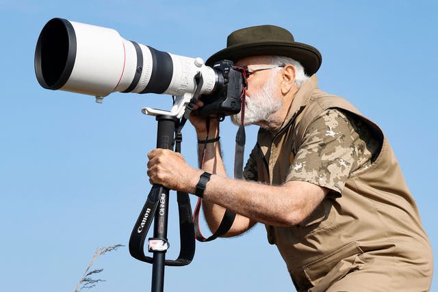 India reveals surge in tiger population as PM Modi releases latest ...