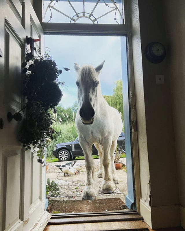 The sex therapist and the aristocrats: Inside the UK’s most upmarket ...