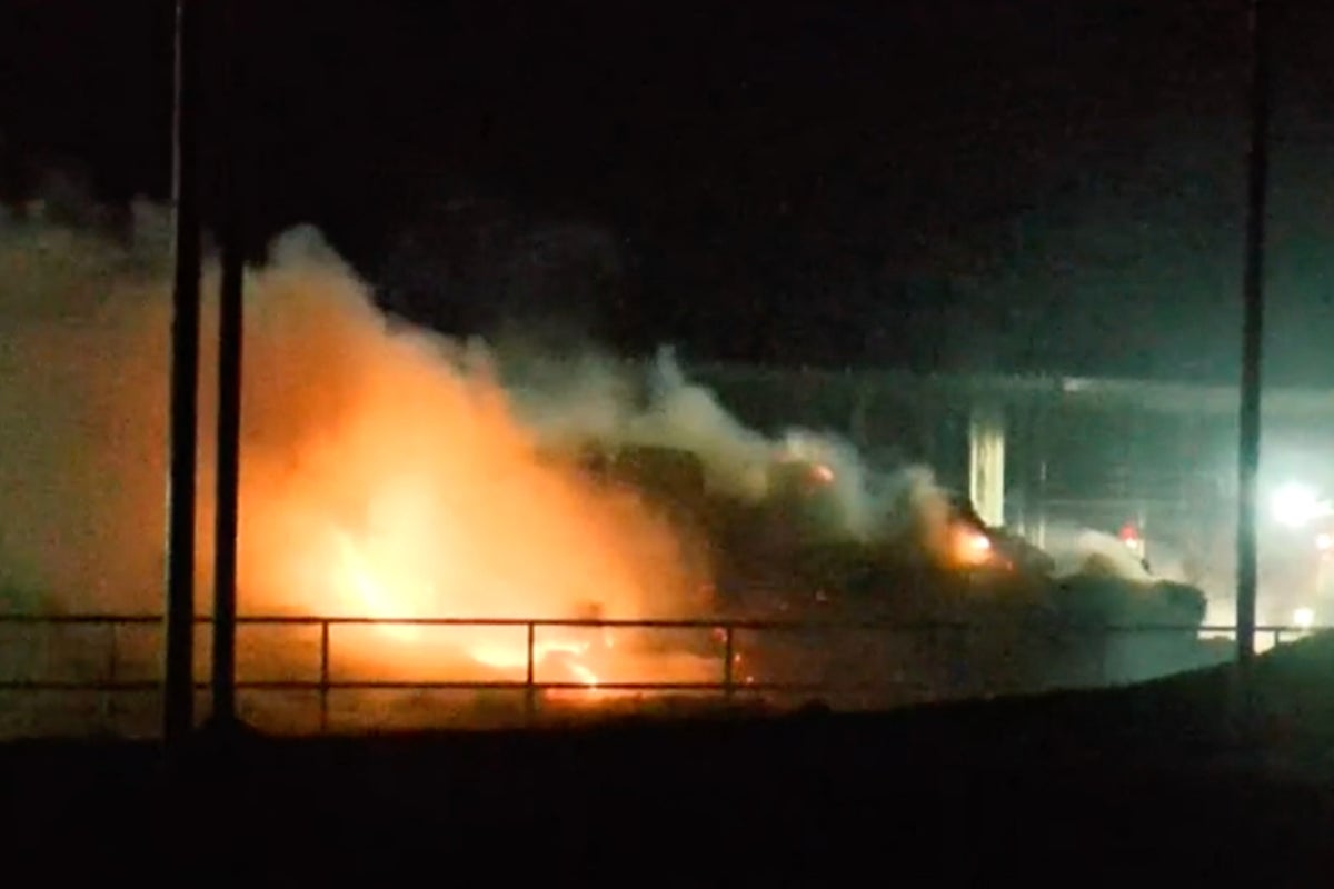 Fiery explosion at Texas dairy farm kills 18,000 cows | The Independent