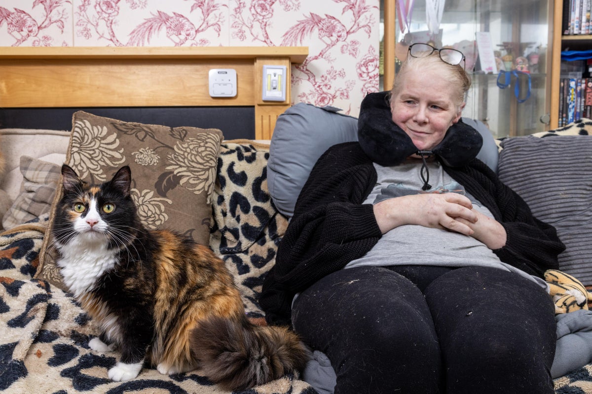 Willow the cat who saved diabetic owner’s life among finalists in ...
