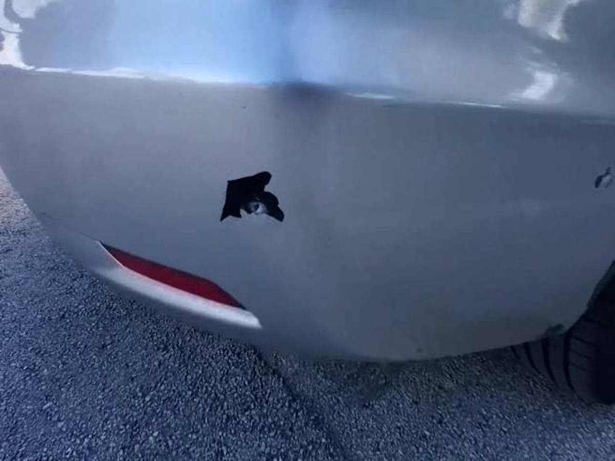 Florida man walks free after ‘shooting at’ Instacart drivers who went ...