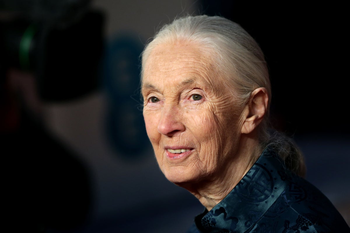 Jane Goodall ‘hopeful’ human intelligence will overcome climate crisis ...