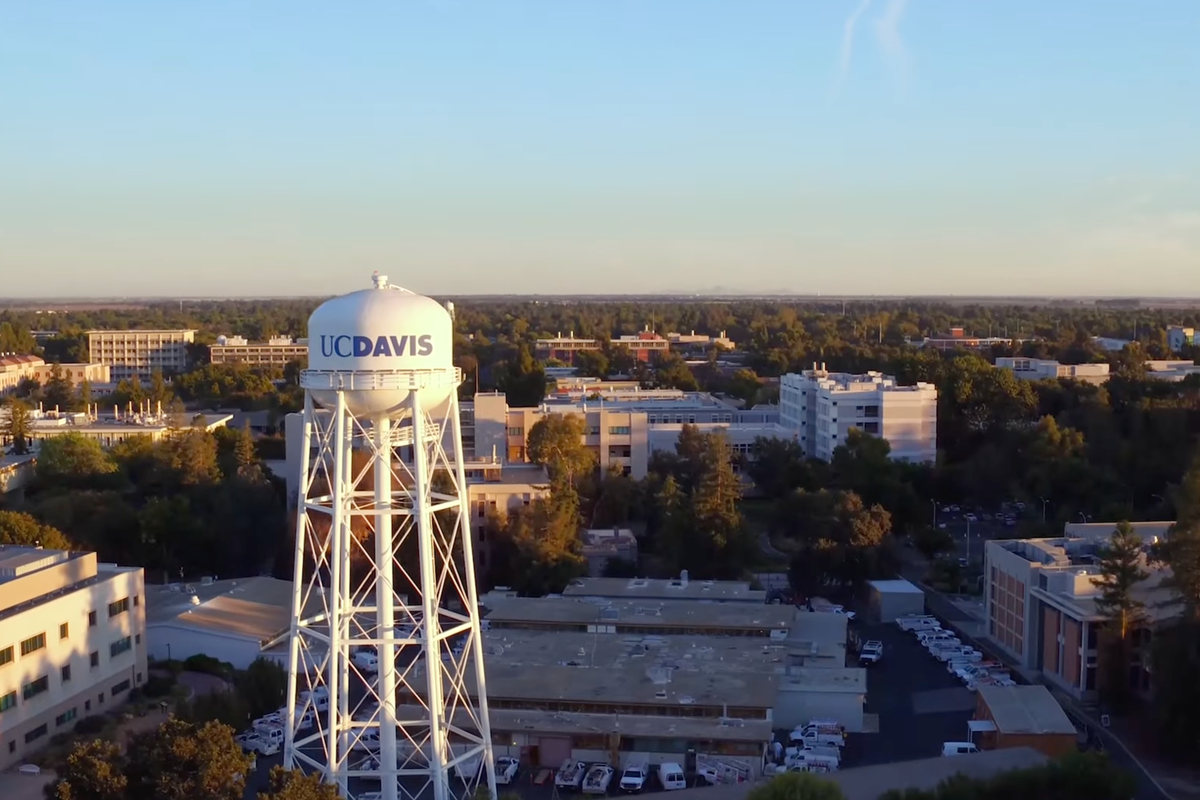 Third stabbing near UC Davis in a week fuels ‘serial killer’ fears ...