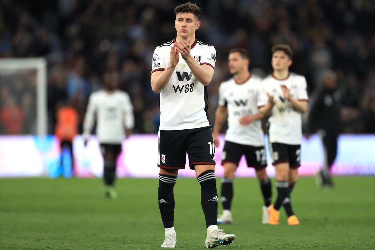 Fulham boss Marco Silva talks up ‘top quality player’ Tom Cairney | The ...