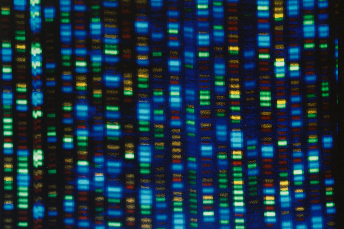 DNA "reference guide" expanded to reflect human diversity | The Independent