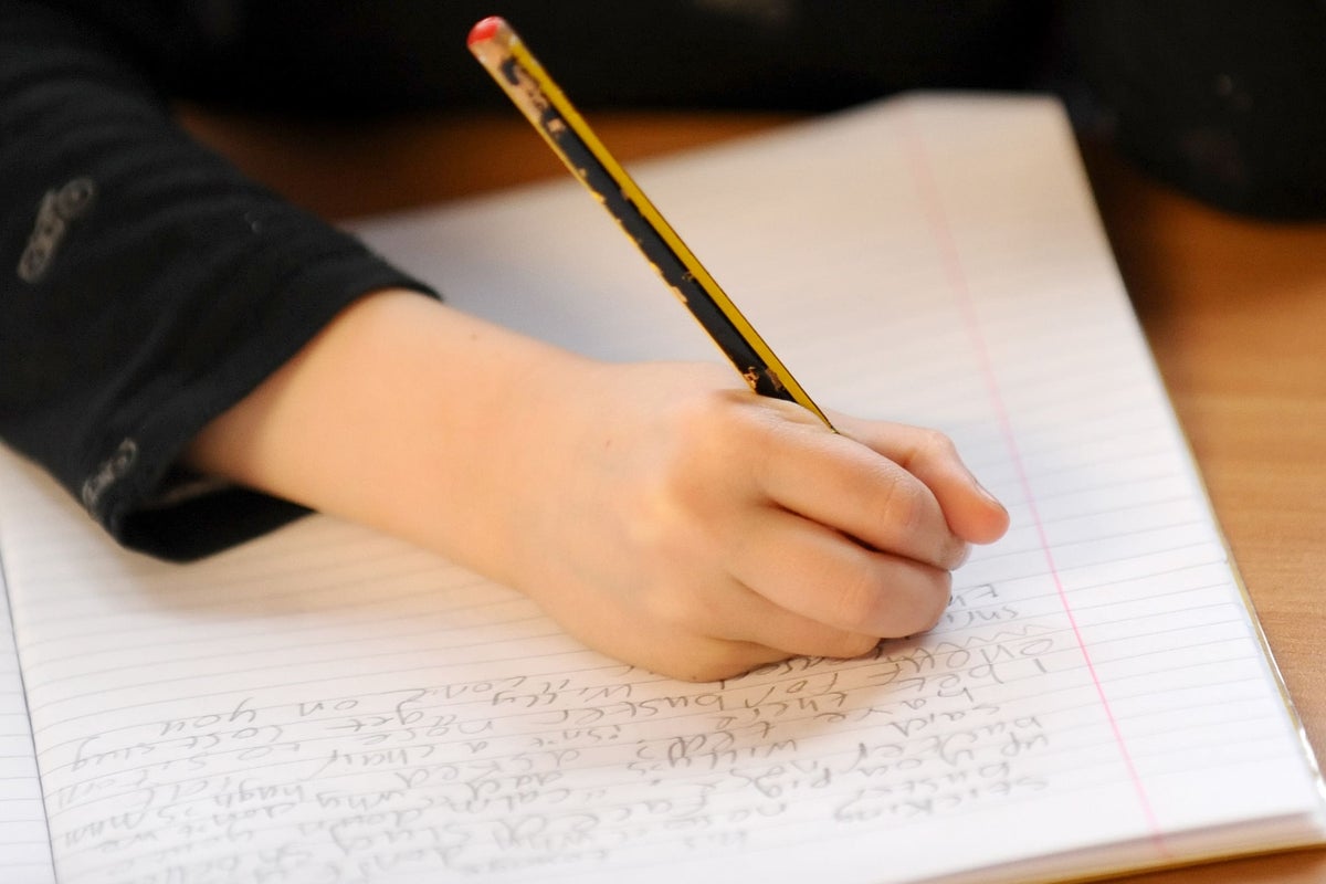 Government Defends challenging Sats Reading Paper Government Defends challenging Sats Reading Paper