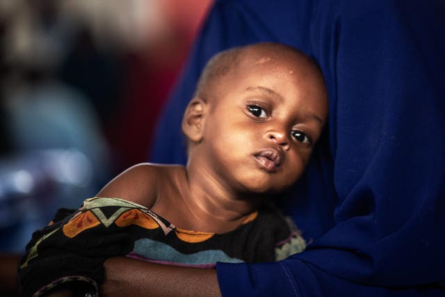 The devastating impact of drought on mothers and children in Somalia ...