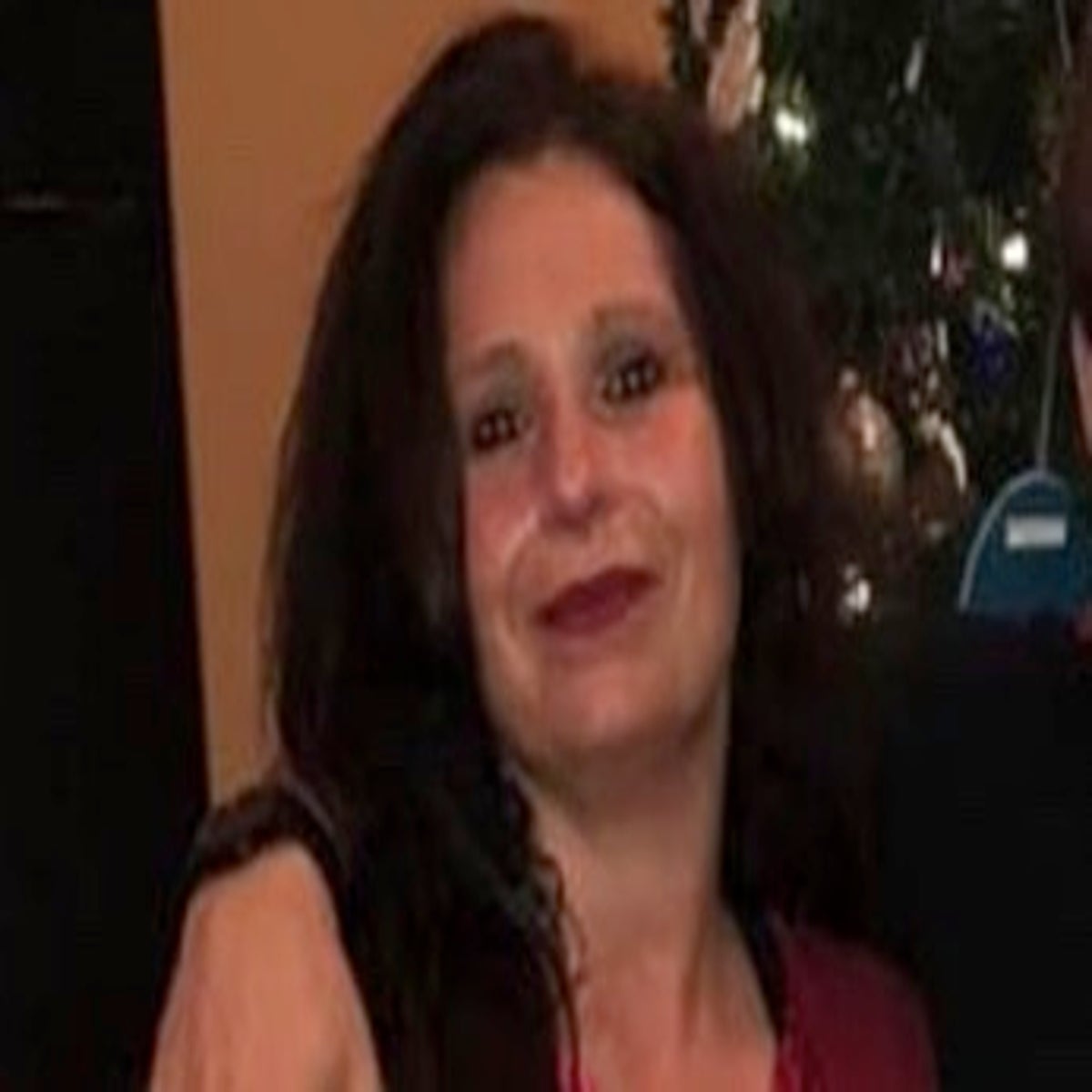 Dana Smithers's Instagram, Twitter & Facebook on IDCrawl