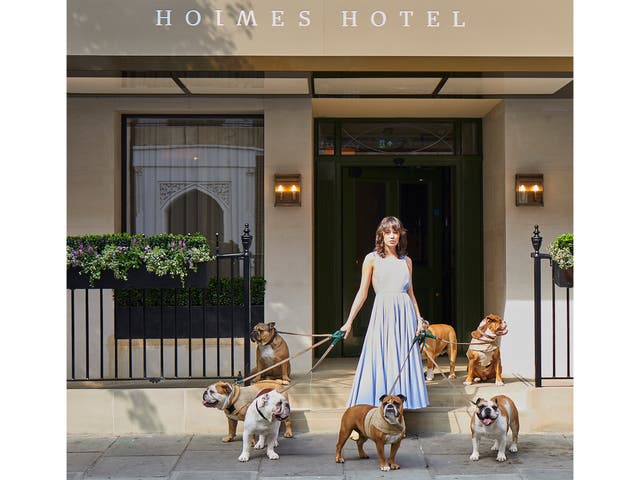 Best dog-friendly hotels in London | The Independent