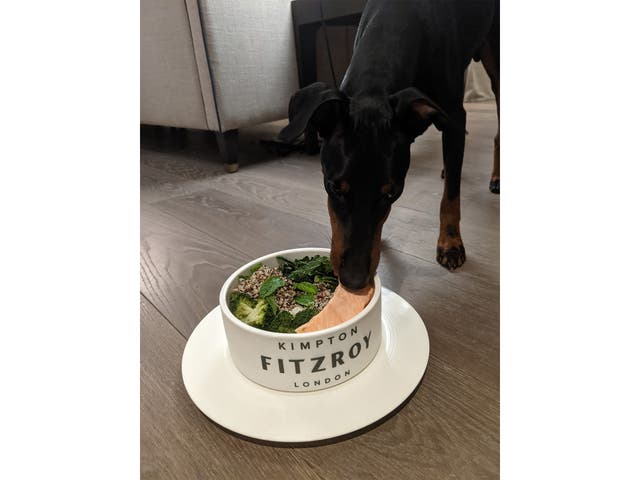 Best dog-friendly hotels in London | The Independent