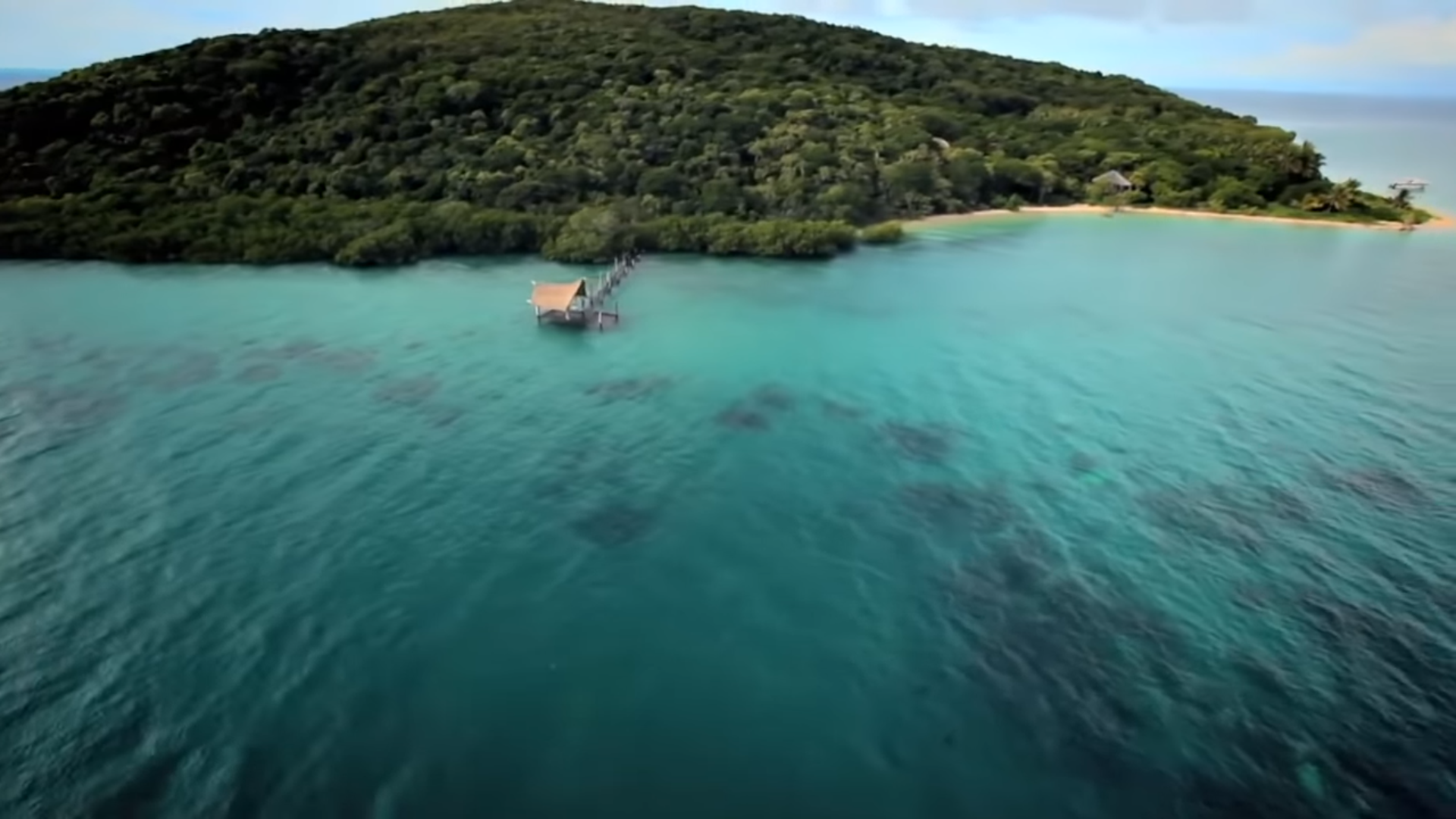 Australian snorkeller survives crocodile attack by ‘levering its jaws ...