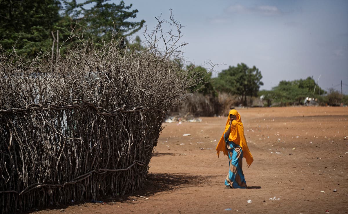 Humanitarian group MSF calls for support for refugees in Kenya affected ...