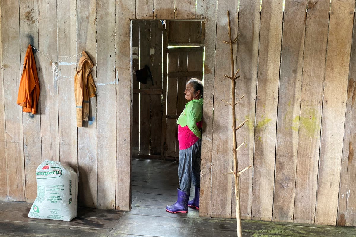 In the Amazon region where pair was killed, neglect and allegations of ...
