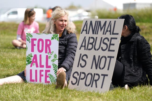 Epsom Derby: Protester arrested after running onto race track | The ...