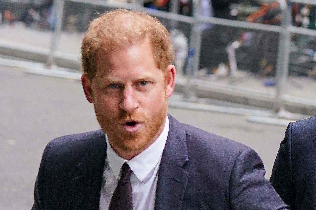 Harry says Government is at ‘rock bottom’ in High Court statement | The ...