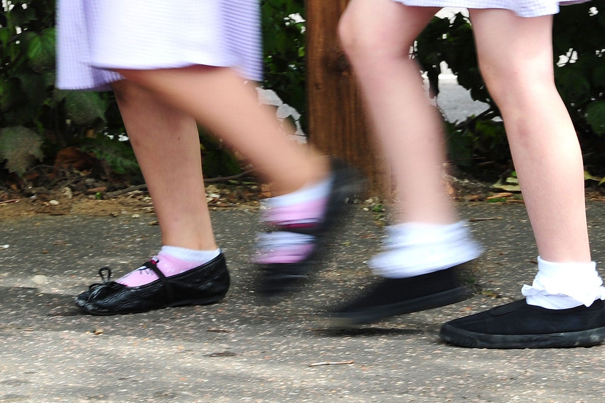 Adding VAT to private school fees could raise ‘very little’ new revenue ...