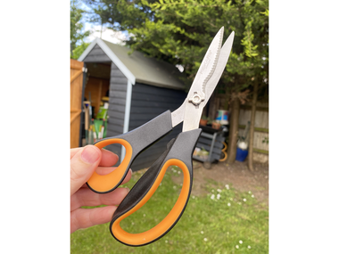 Best garden shears and secateurs for trimming grass, hedges and pruning ...