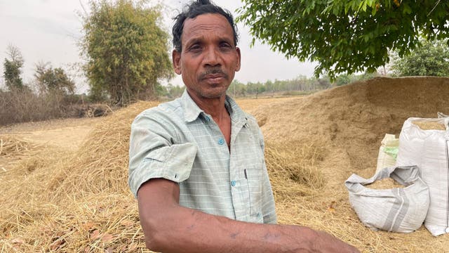 How the return of poaching threatens India’s tiger success story | The ...