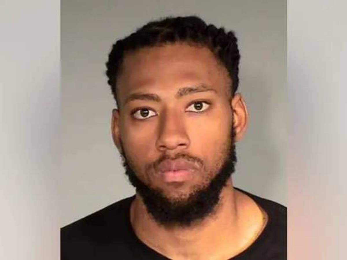 Son of controversial Minnesota lawmaker arrested over crash that killed ...