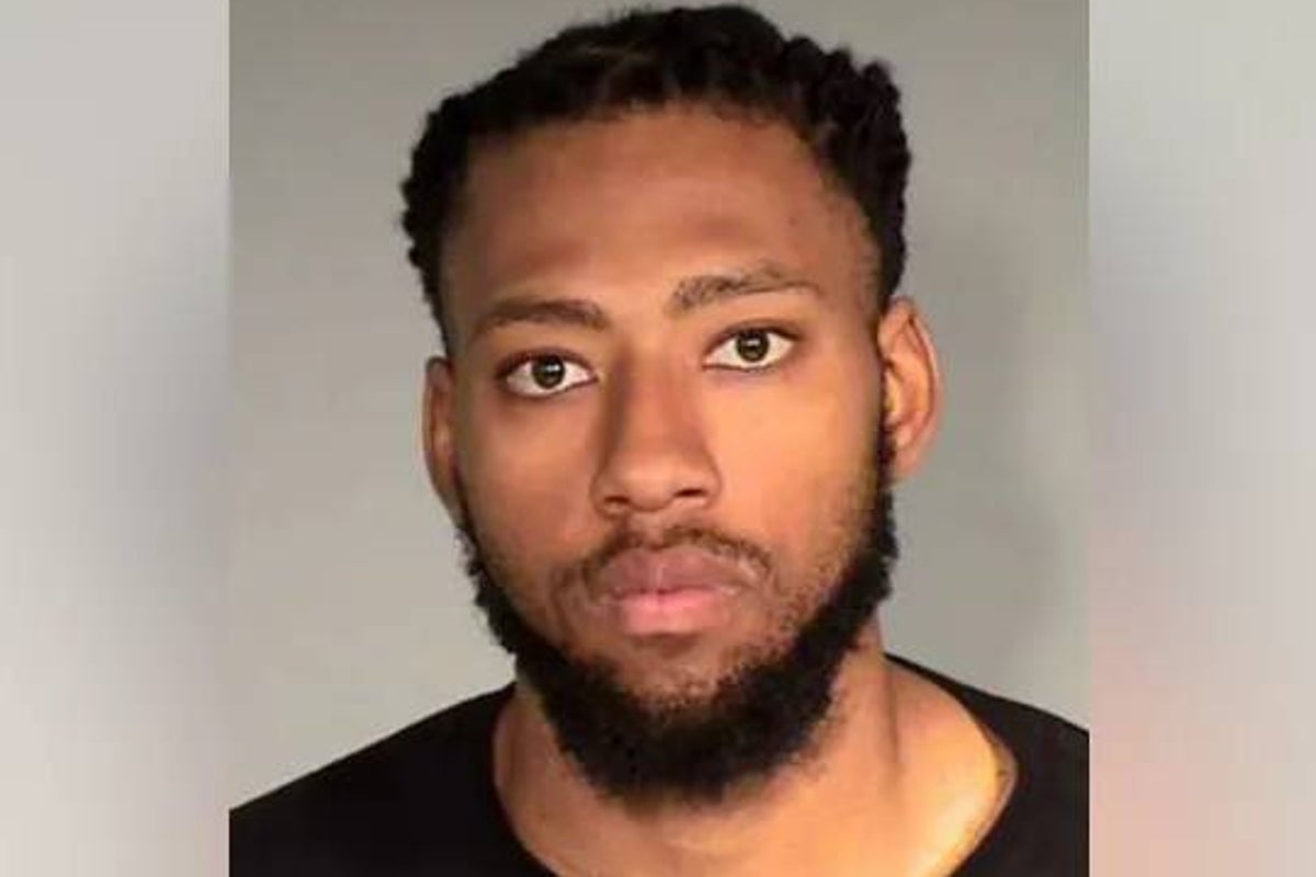 Son of controversial Minnesota lawmaker arrested over crash that killed ...