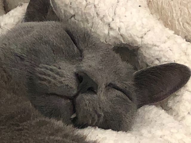 The pandemic cracked a new generation of transgender people. Here’s why ...