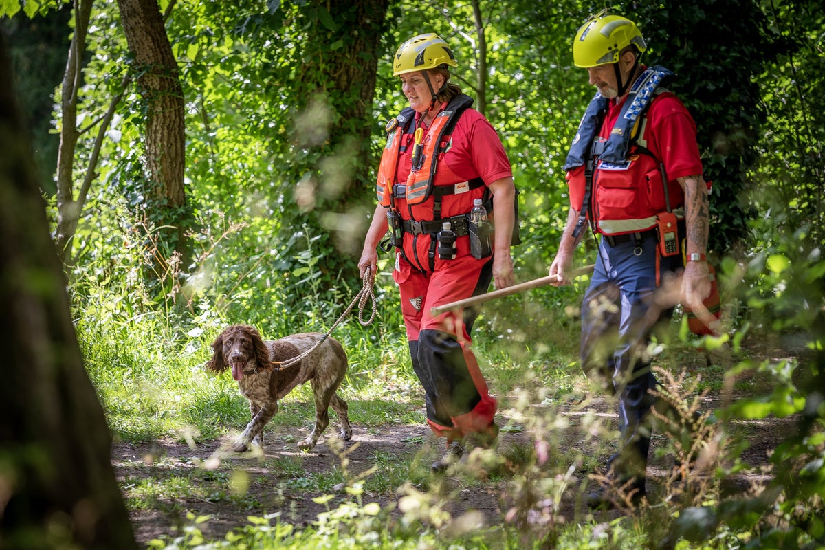 Fiona Edson: Urgent search for mum who disappeared near river among ...