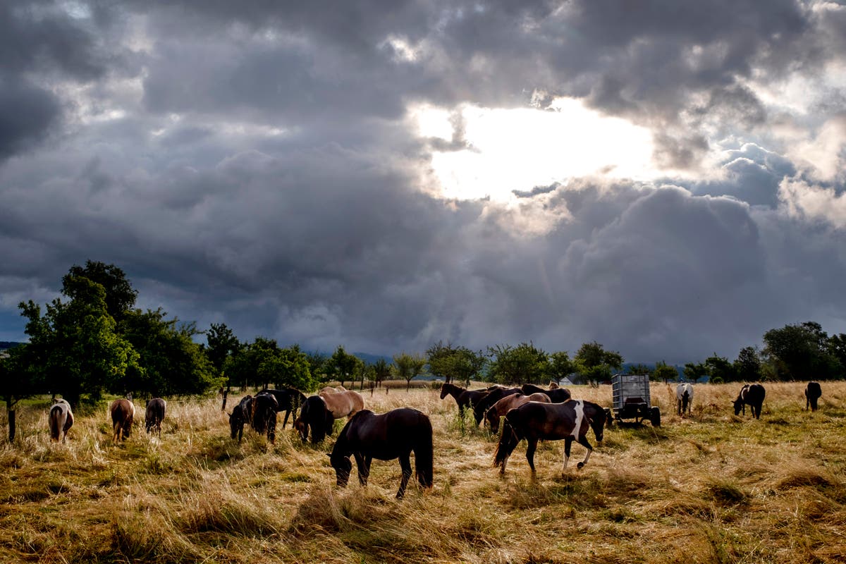 Storm Poly lashes the Netherlands and parts of Germany, causing 2 ...