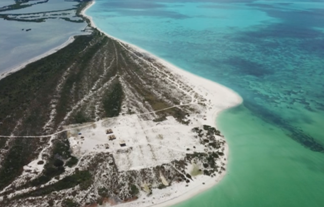 An English millionaire, royal ‘connections’ to Princess Diana and a row ...