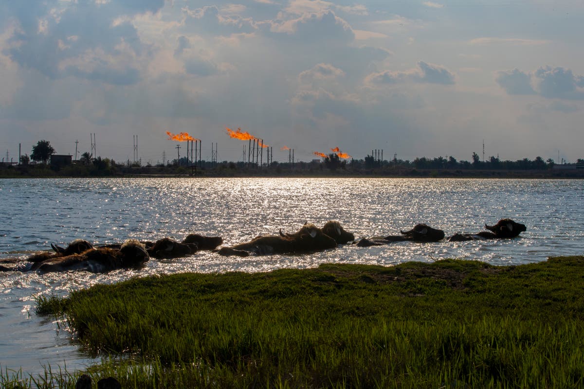 Iraq's $27B deal with TotalEnergies could ease its longstanding energy ...