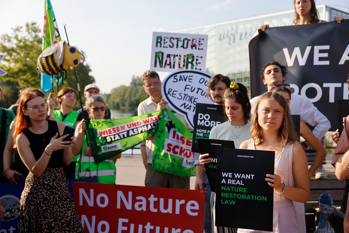 European Union lawmakers back a major bill to protect nature and fight ...