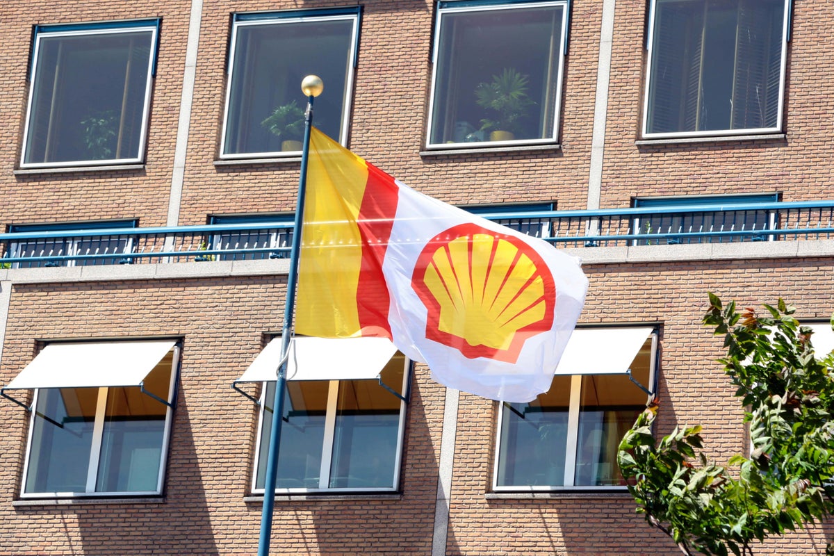 Environment campaigners in latest round of fight with Shell directors ...