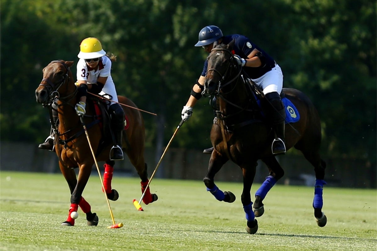 In polo position | The Independent