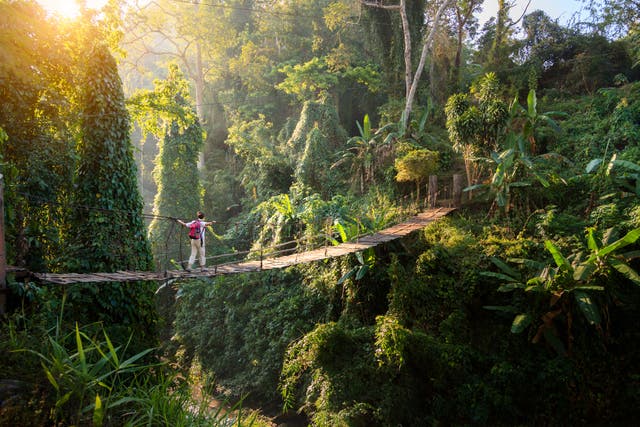 Best places for solo travel 2024 | The Independent