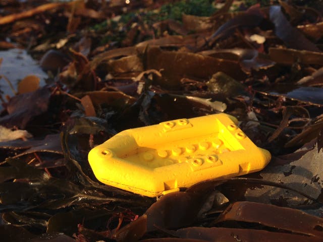 Beachcomber finds ‘holy grail’ Lego octopus washed ashore from spill 26 ...