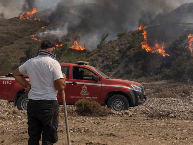 Greece plane crash: Fire fighting plane crashes to the ground in Evia ...
