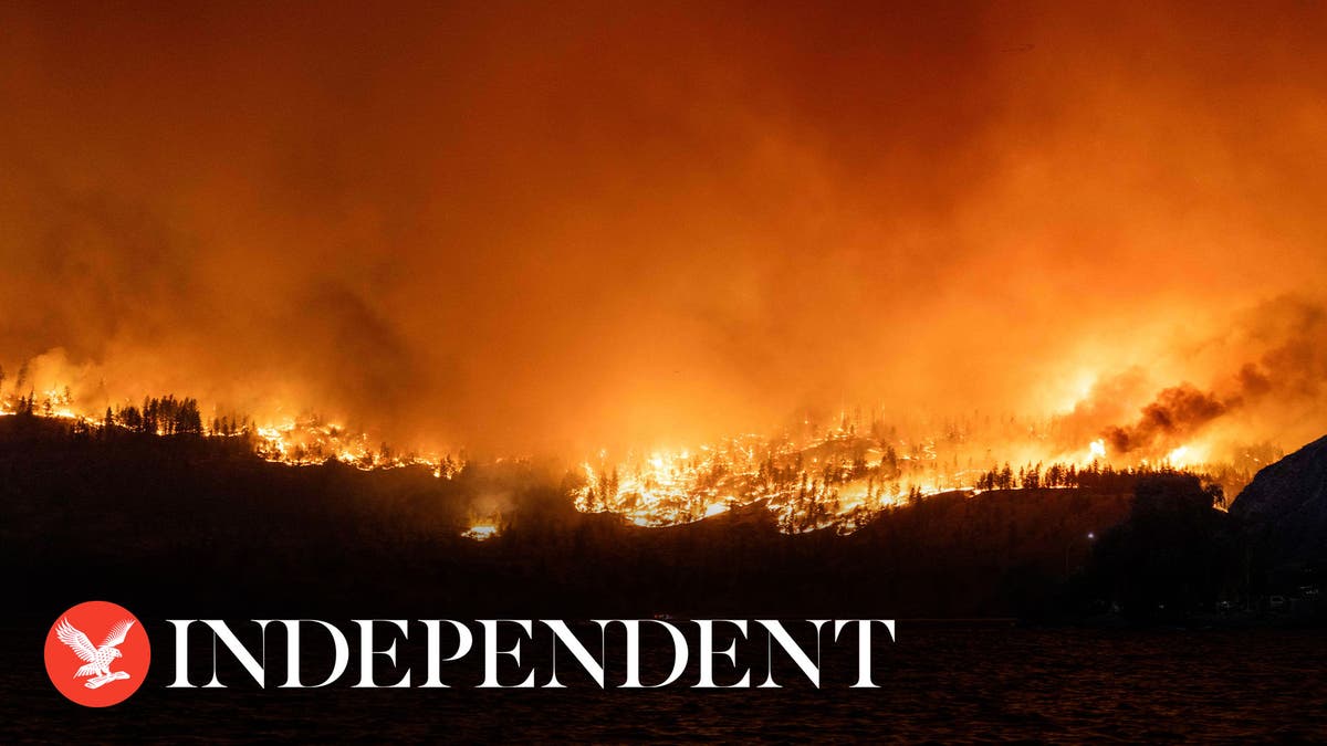 Watch live: British Columbia premier discusses Canada wildfires | The ...