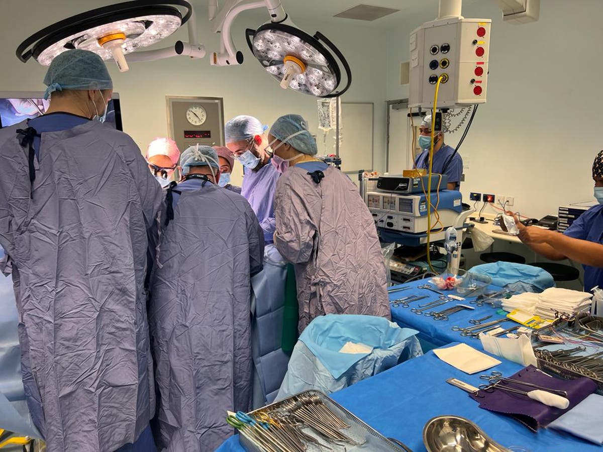 First womb transplant takes place in UK after sister donates uterus ...