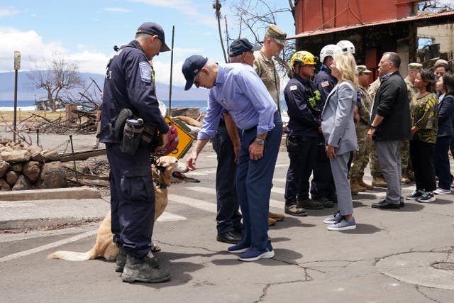Maui fires latest news: California woman named as first tourist among ...