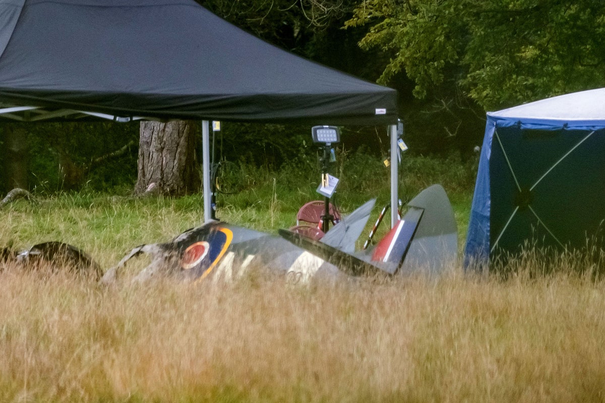 Pilot dies after replica Spitfire crashes into a field | The Independent