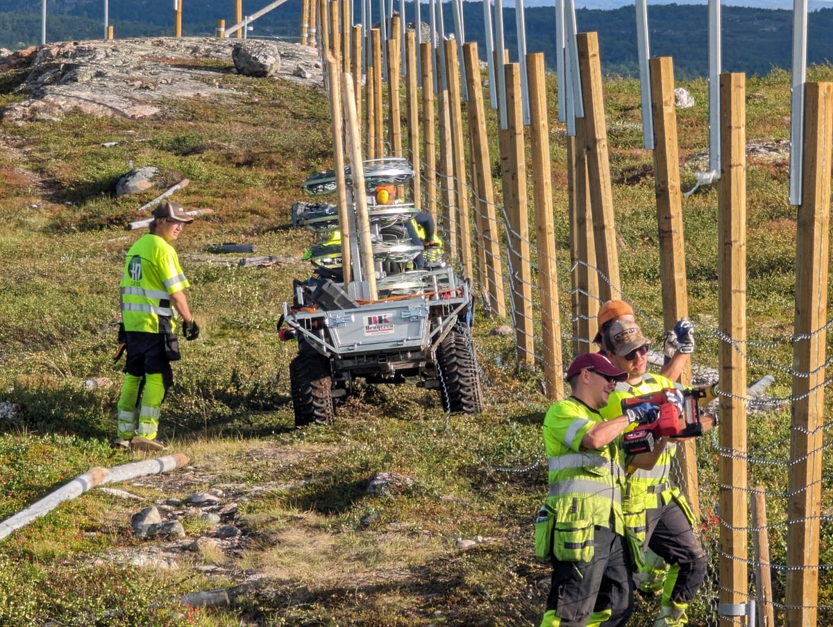 Norway rebuilding reindeer fence along border with Russia to stop ...