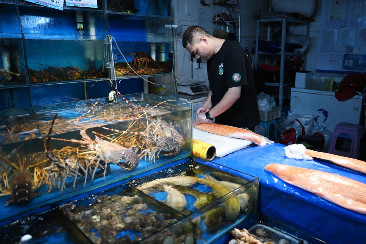 Japan says no radioactivity found in Fukushima fish as first batch of ...