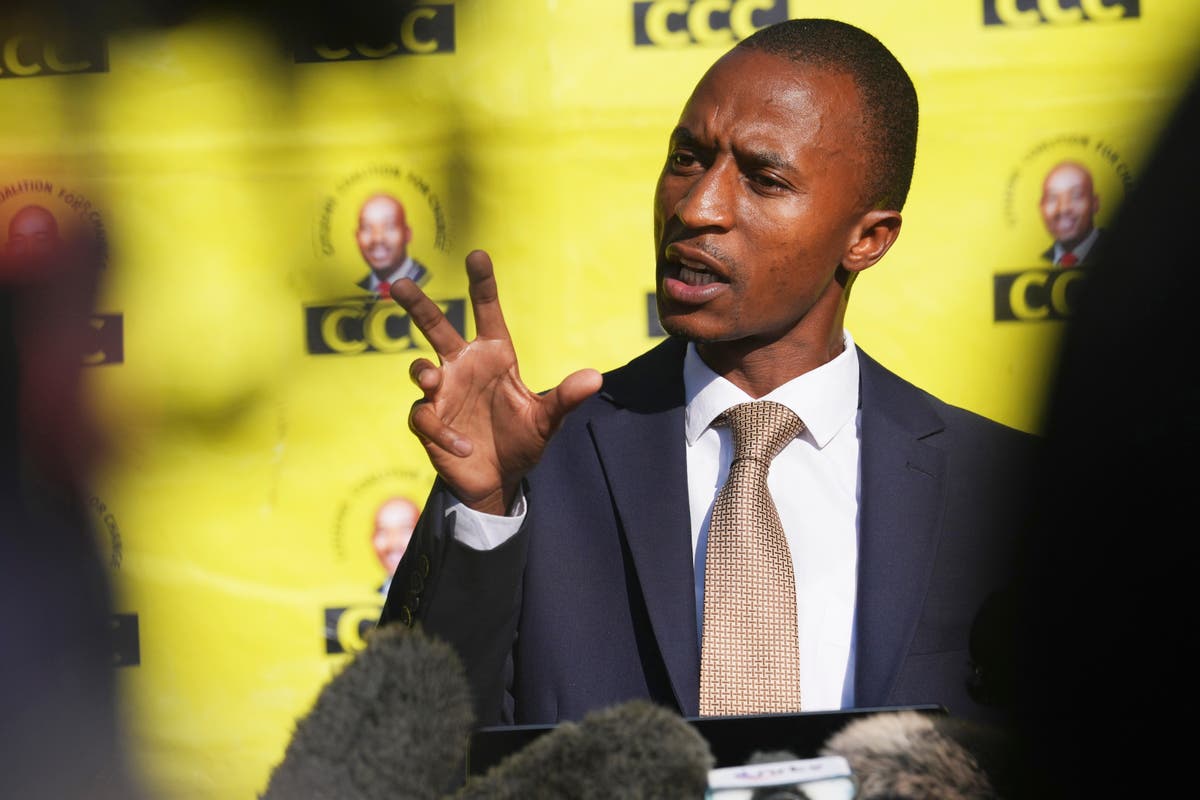 Zimbabwe opposition party calls for fresh elections supervised by ...