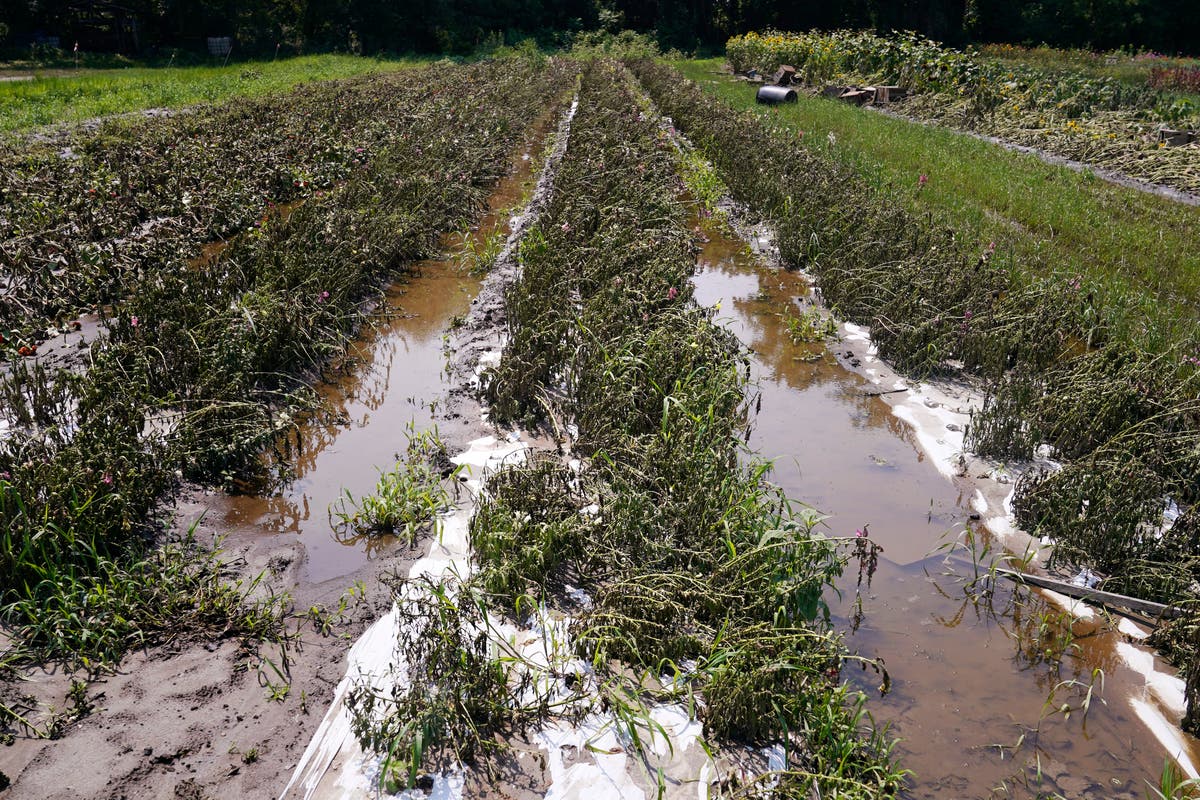 USDA designates July flooding a disaster in Vermont, making farmers ...