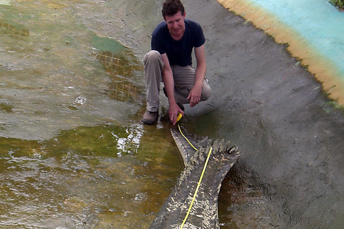 Who is Adam Britton? British zoologist facing 249 years in jail for ...